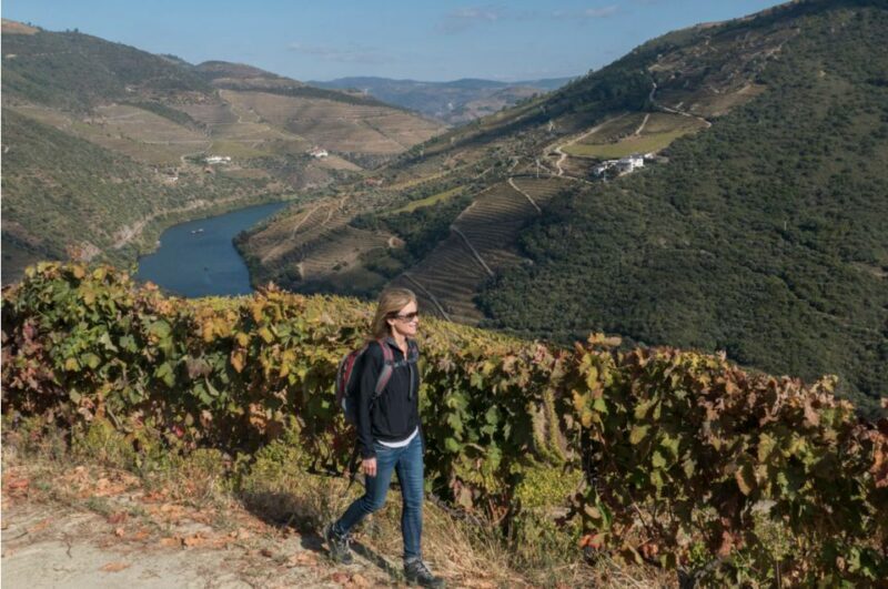 Porto: Douro Valley Day Trip with Wine Tasting and Lunch - The Value of This Tour