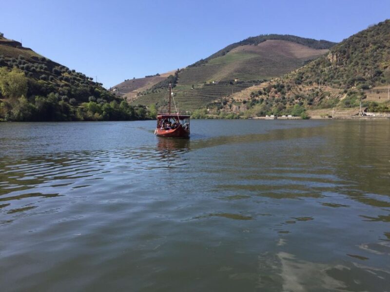 Porto: Douro Valley Day Trip with Wine Tasting and Lunch - Practical Tips for Your Trip