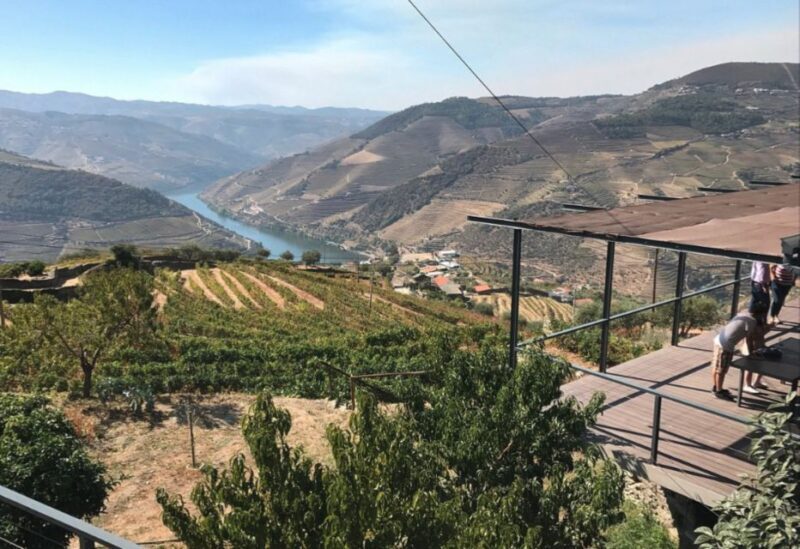 Porto: Douro Valley Day Trip with Wine Tasting and Lunch - Who Will Love This Tour?