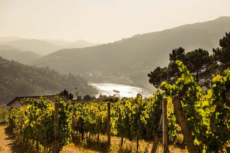 Porto: Douro Valley Exclusive Vinho Verde Tour - Porto: Douro Valley Exclusive Vinho Verde Tour