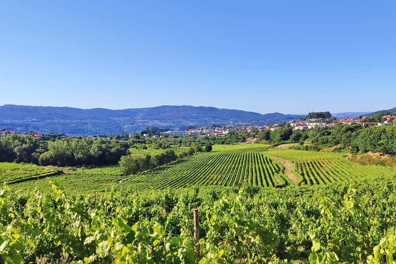 Porto: Douro Valley Exclusive Vinho Verde Tour - Key Points