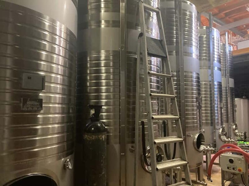Porto: Douro Valley Exclusive Vinho Verde Tour - Who Would Enjoy This Experience?