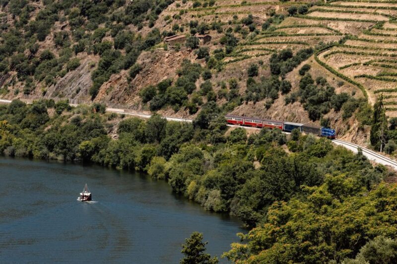 Porto: Douro Valley Full-Day Boat, Train, and Lunch Tour - Introduction: What to Expect from the Douro Valley Tour