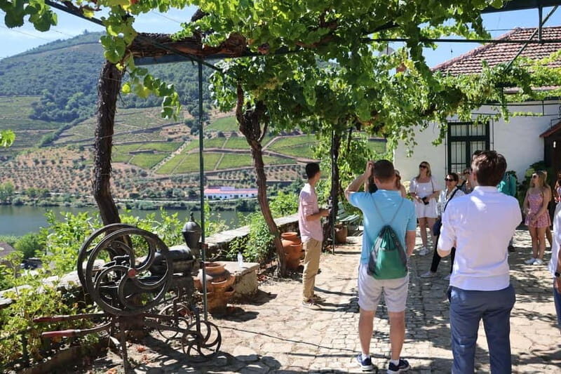 Porto: DOURO VALLEY Half-day Tour - The Sum Up: Who Should Consider This Tour?