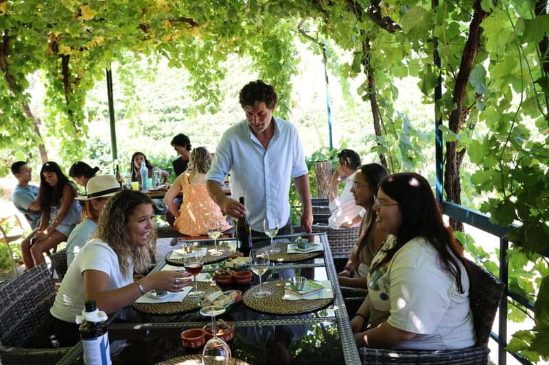 Porto: DOURO VALLEY Half-day Tour - FAQ