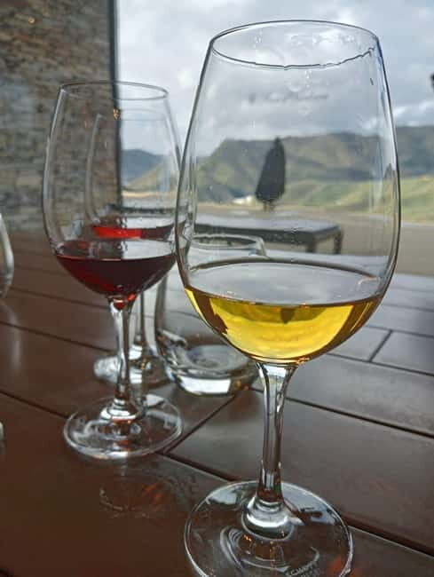 Porto: Douro Valley Half-Day Wine and Food Tour - An In-Depth Look at the Tour Experience