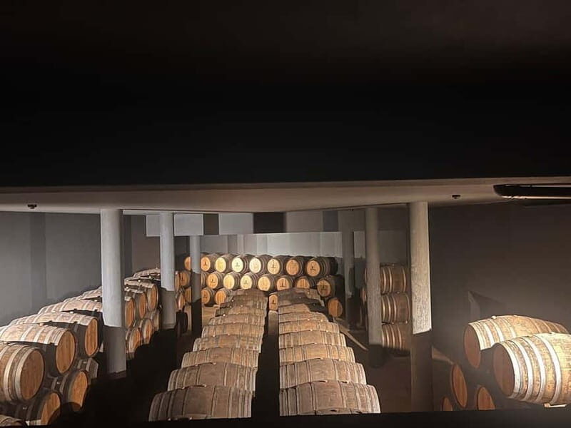 Porto: Douro Valley Half-Day Wine and Food Tour - Pricing and Value