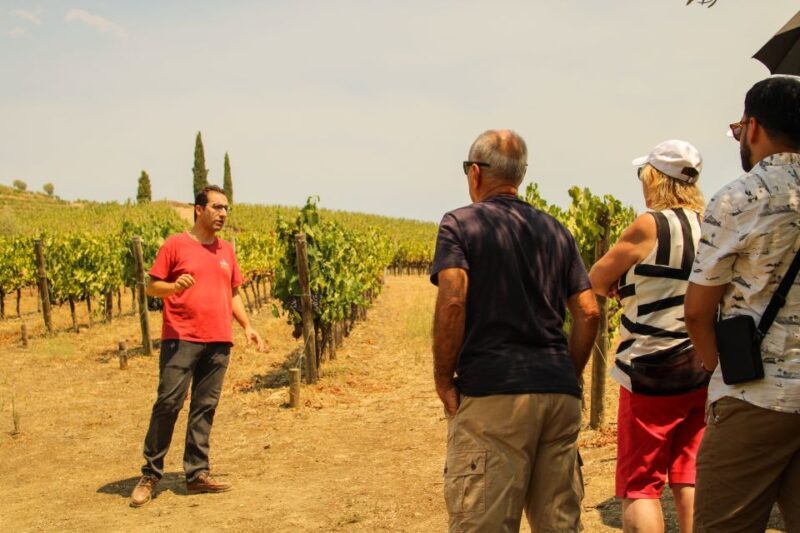 Porto: Douro Valley History & Wine Tour with Cruise & Lunch - Key Points
