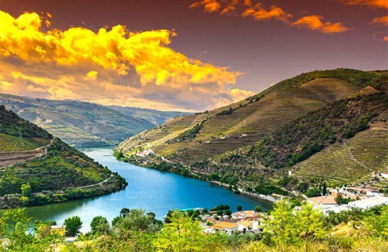 Porto: Douro Valley Private Full-Day Tour - Key Points