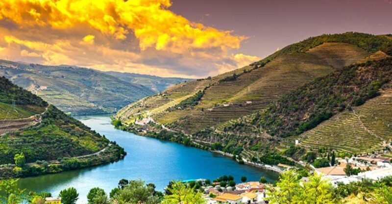 Porto: Douro Valley Private Full-Day Tour - An In-Depth Look at the Douro Valley Private Full-Day Tour