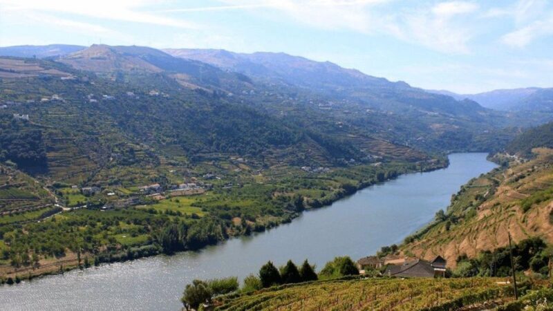 Porto: Douro Valley Private Full-Day Tour - Who Is This Tour Best For?