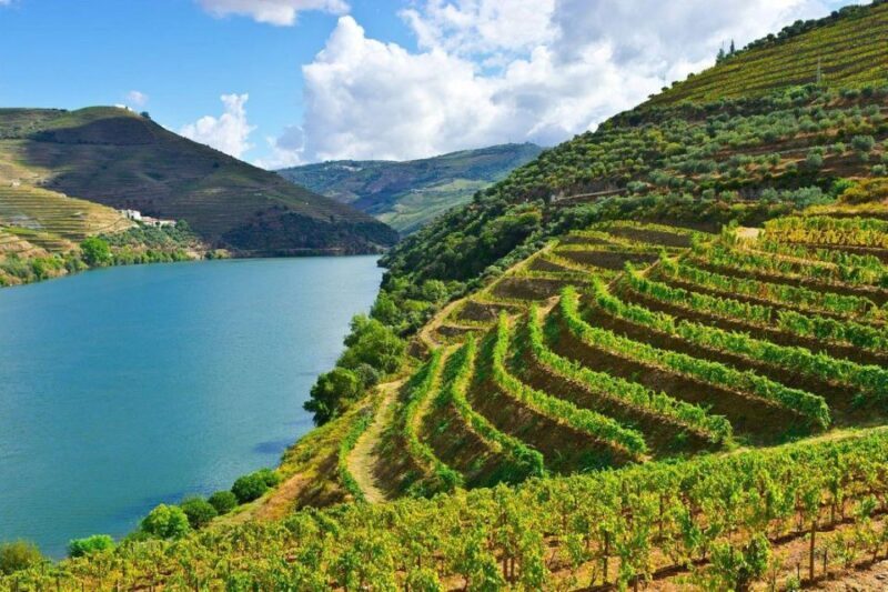 Porto: Douro Valley Private Full-Day Tour - The Sum Up