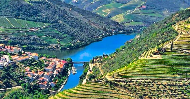 Porto: Douro Valley Private Tour 2 Vineyards & River Cruise - Key Points