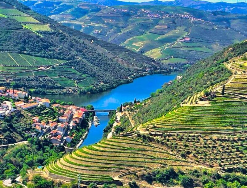 Porto: Douro Valley Private Tour 2 Vineyards & River Cruise - A Closer Look at the Douro Valley Private Tour
