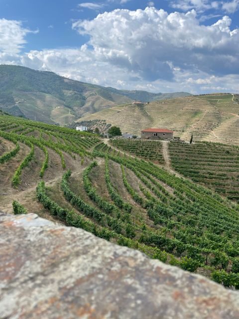 Porto: Douro Valley Private Tour 2 Vineyards & River Cruise - The Practicalities and Considerations