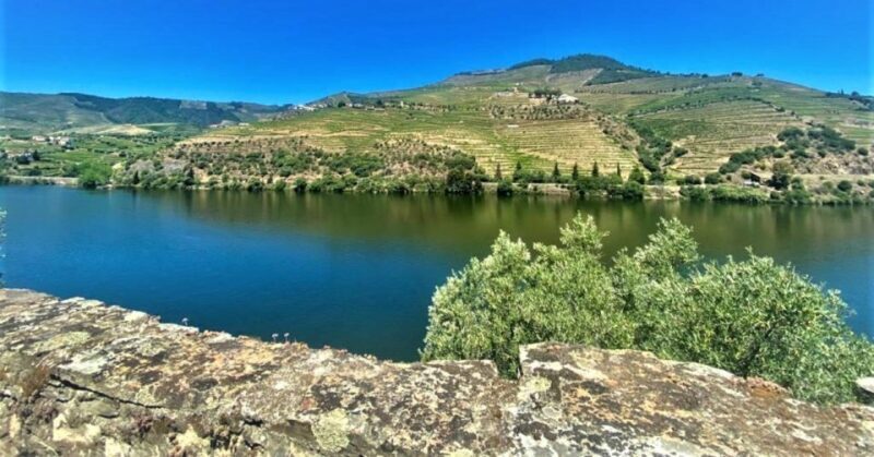 Porto: Douro Valley Private Tour 2 Vineyards & River Cruise - Authentic Experiences and Traveler Feedback