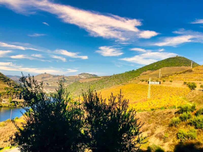Porto: Douro Valley Private Tour 2 Vineyards & River Cruise - Conclusions: Is This Tour Right for You?