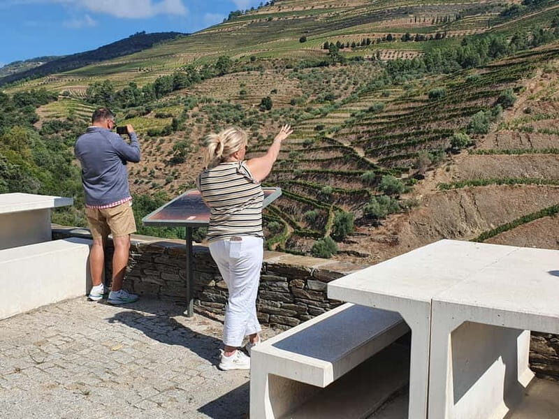 Porto: Douro Valley Private Tour with Winery Visit & Lunch - Introduction