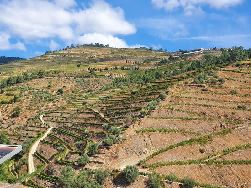 Porto: Douro Valley Private Tour with Winery Visit & Lunch - Key Points