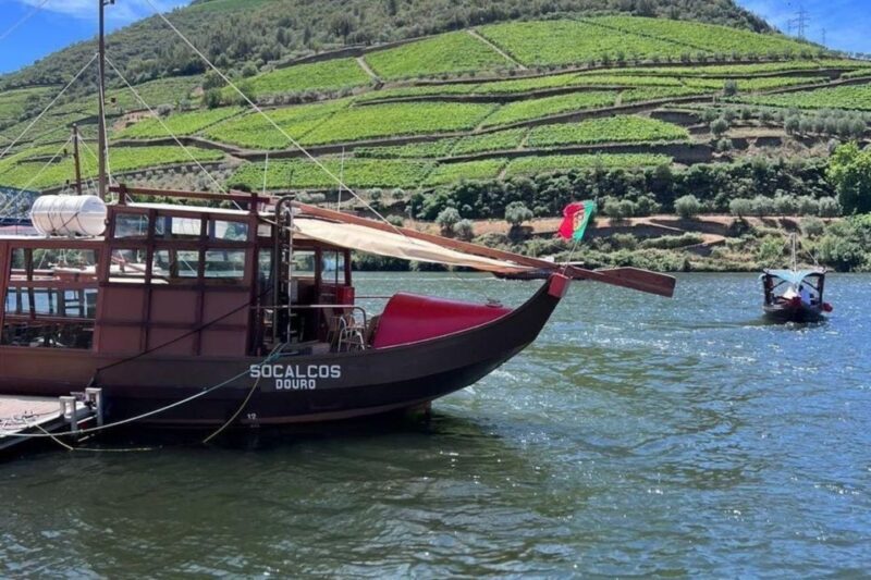 Porto: Douro Valley Tour w/ 3 Tastings, Lunch, & Opt. Cruise - Practical Considerations