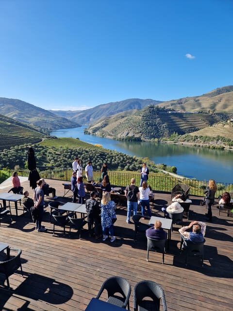 Porto: Douro Valley Tour W/ Wine Taste, Boat Cruise & Lunch - Key Points