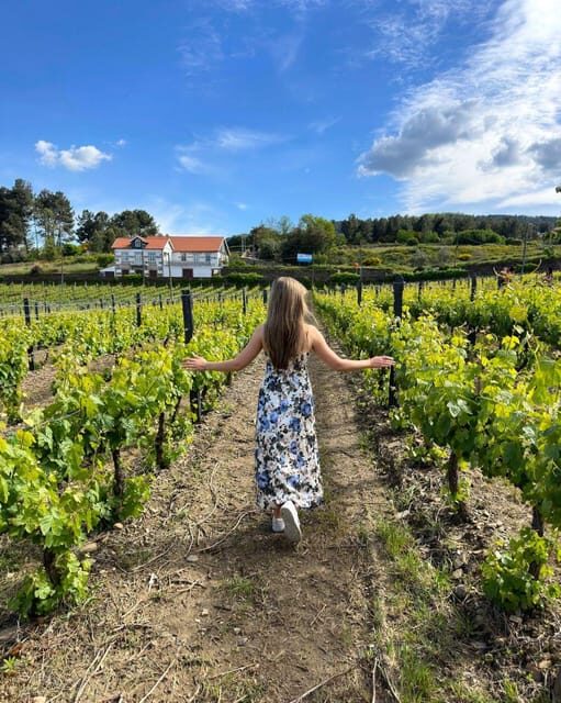 Porto: Douro Valley Tour with 2 Wineries, Lunch and Cruise - Value for Money
