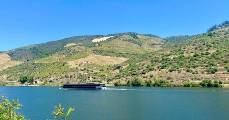 Porto: Douro Valley Tour with 2 Wineries, Lunch and Cruise - Who Should Consider This Tour?