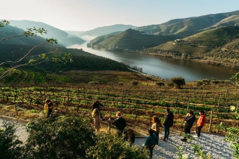 Porto: Douro Valley Tour with 2 Wineries, Lunch and Cruise - Final Drop-offs and Optional Extras