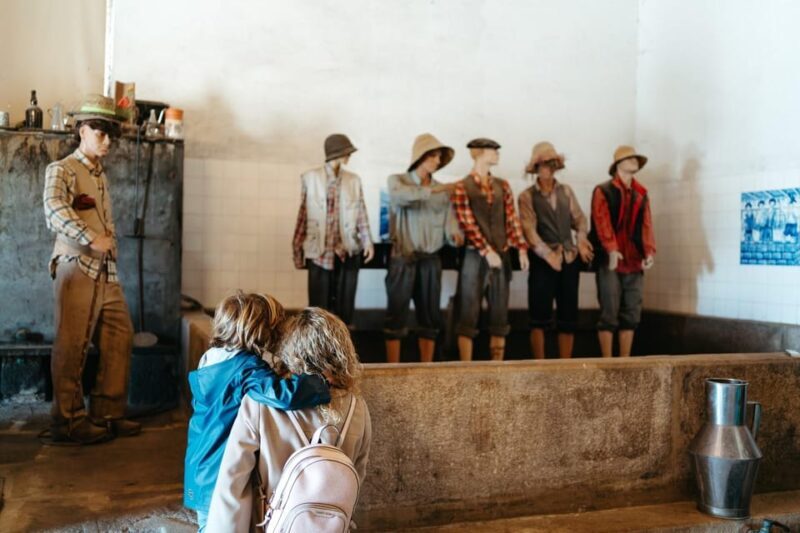 Porto: Douro Valley Tour with 2 Wineries, Lunch and Cruise - Who Should Consider This Tour?