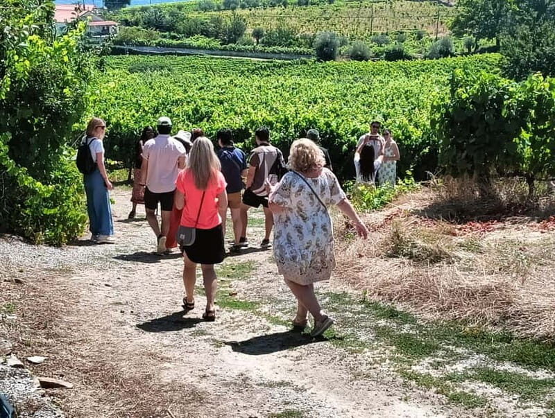 Porto: Douro Valley Tour with 2 Wineries, Lunch, & Boat Trip - Key Points