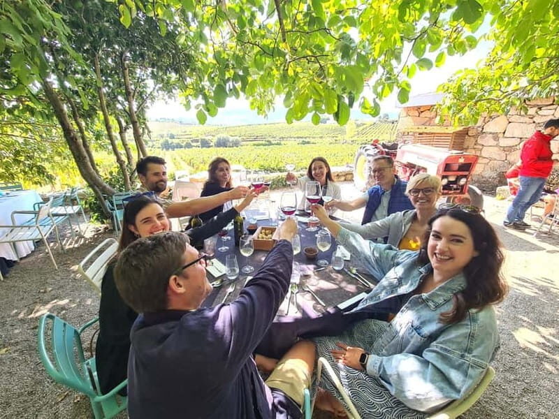 Porto: Douro Valley Tour with 2 Wineries, Lunch, & Boat Trip - What Makes This Tour Stand Out?