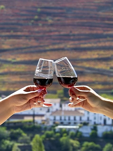 Porto: Douro Valley Tour with 3 vineyards and lunch. - The Traditional Portuguese Lunch