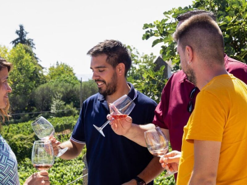 Porto: Douro Valley Tour with 3 vineyards and lunch. - Panoramic Views and Additional Stops