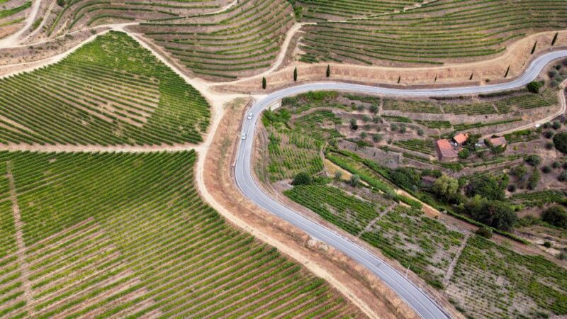 Porto: Douro Valley Tour with 3 vineyards and lunch. - The Experience: Whats Included and the Value