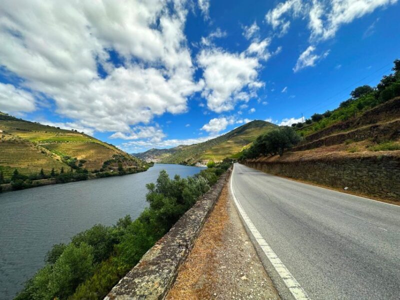 Porto: Douro Valley Tour with 3 vineyards and lunch. - The Pros and Cons