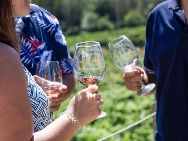 Porto: Douro Valley Tour with 3 vineyards and lunch. - Who Will Love This Tour?