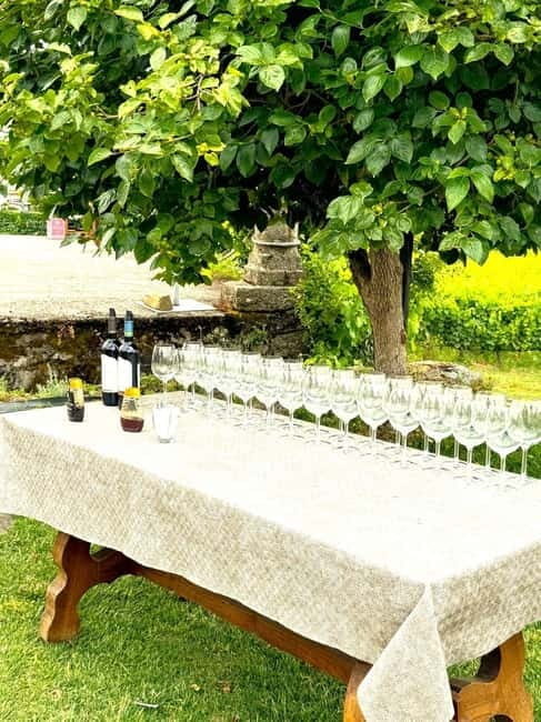 Porto: Douro Valley Tour with 3 Wineries and Lunch - An In-Depth Look at the Experience