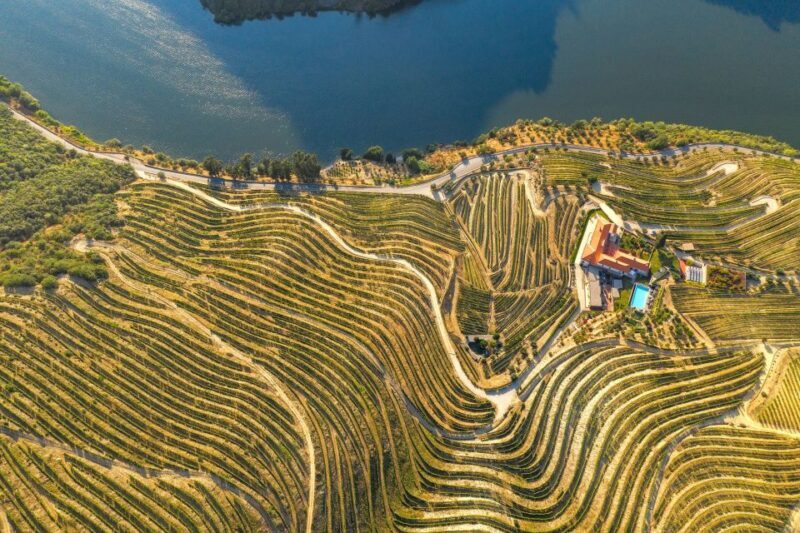 Porto: Douro Valley Tour with Lunch, Boat Cruise & Tastings - Frequently Asked Questions