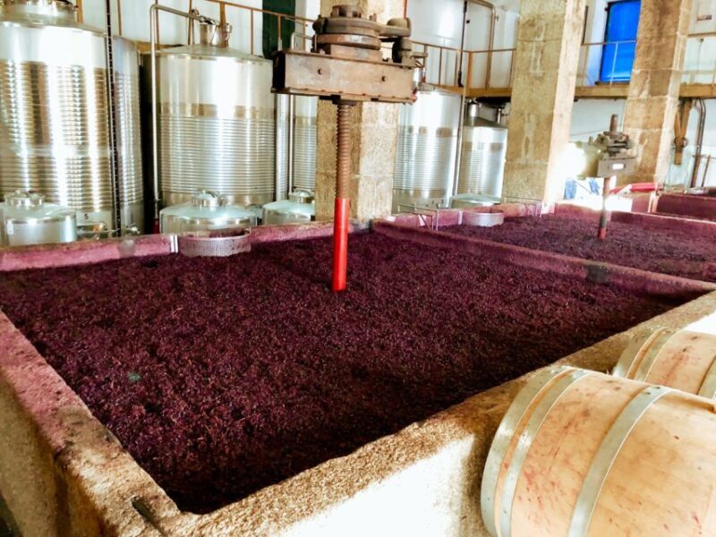 Porto: Douro Valley Tour with Wine Tasting, Cruise and Lunch - Authenticity and Tips for Travelers