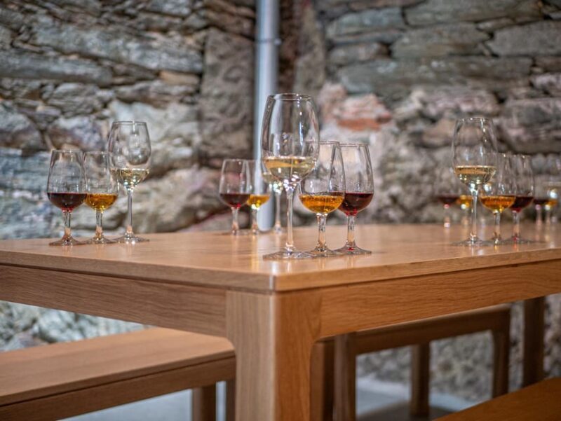 Porto: Douro Valley Wine & History Tour with Cruise & Lunch - What Travelers Are Saying