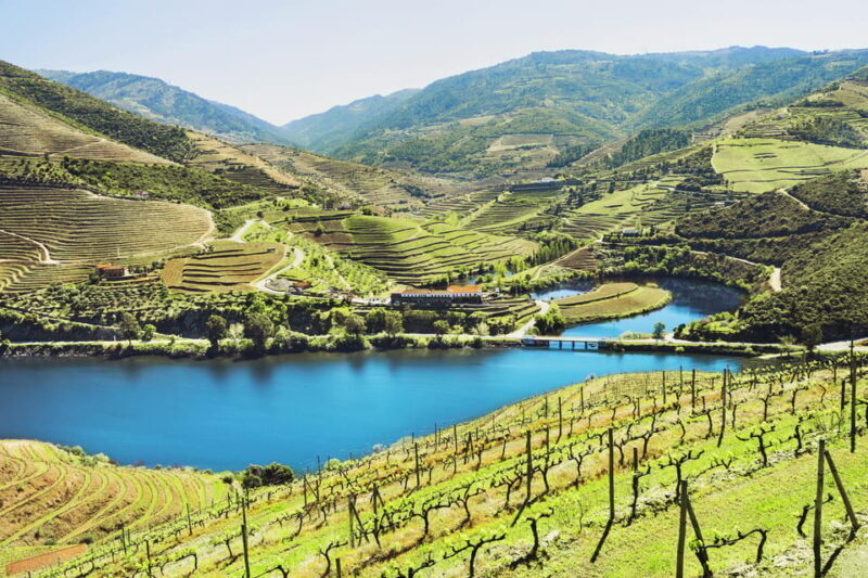 Porto: Douro Valley Wine & History Tour with Cruise & Lunch - FAQ