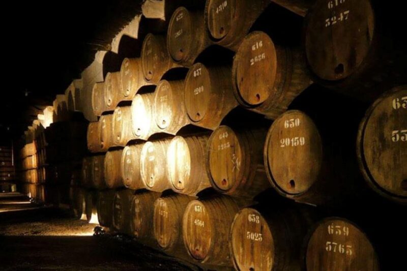 Porto: Douro Valley Wine Tour - An In-Depth Look at the Tour