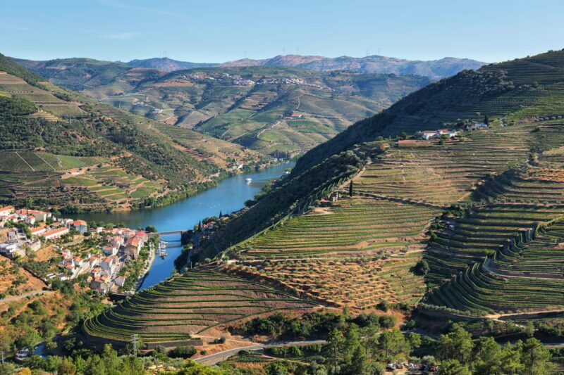 Porto: Douro Valley Wine Tour with a Sommelier & Boat Trip - A Full-Day Journey into Portugal’s Douro Valley