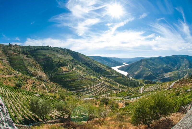 Porto: Douro Valley Wine Tour with Lunch, Tastings & Cruise - Detailed Review
