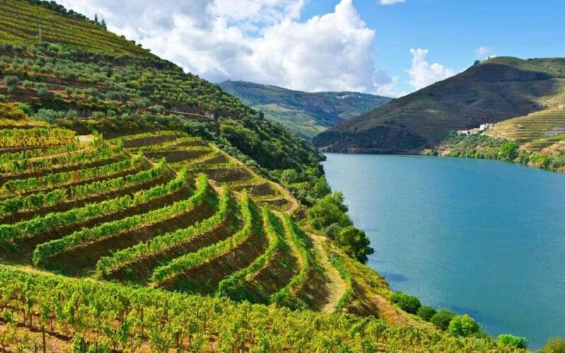 Porto: Douro Valley Wine Tour with Lunch, Tastings & Cruise - FAQ