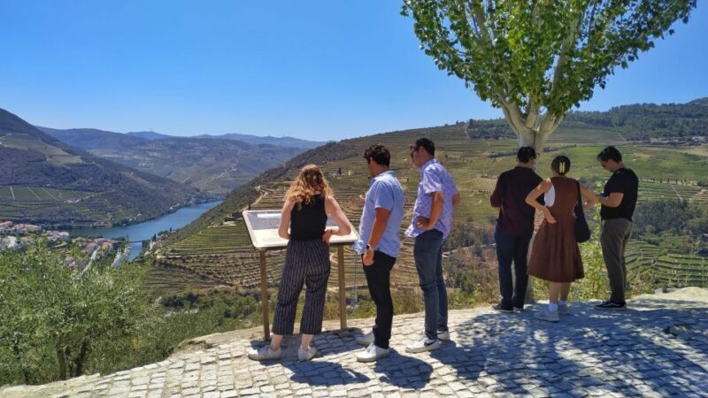 Porto: Douro Valley Wine Tour with Tastings, Boat, and Lunch - An Introduction to the Experience