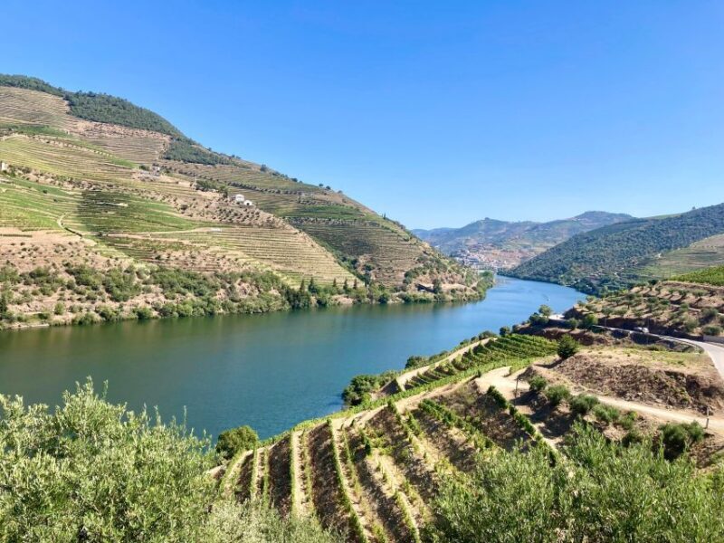 Porto: Douro Valley Wine Tour with Tastings, Boat, and Lunch - What Really Sets this Tour Apart