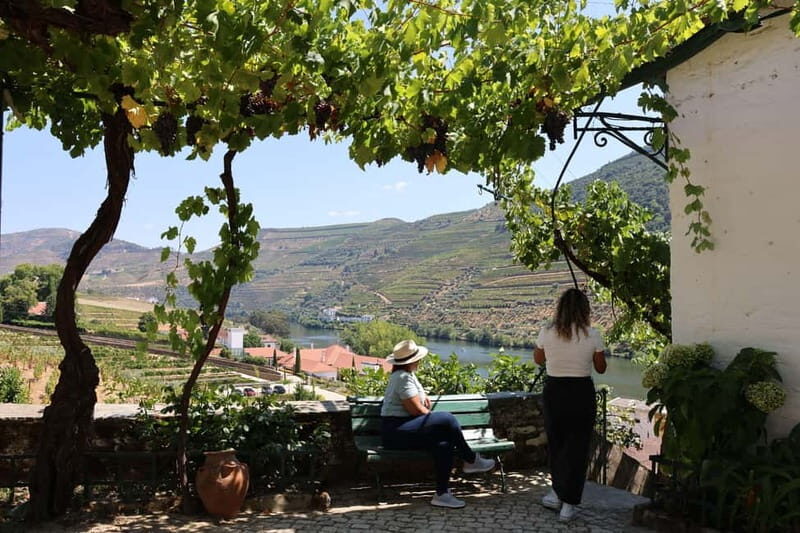 Porto: Douro Valley with 1 or 2 Wineries, Lunch & Boat Tour - Frequently Asked Questions