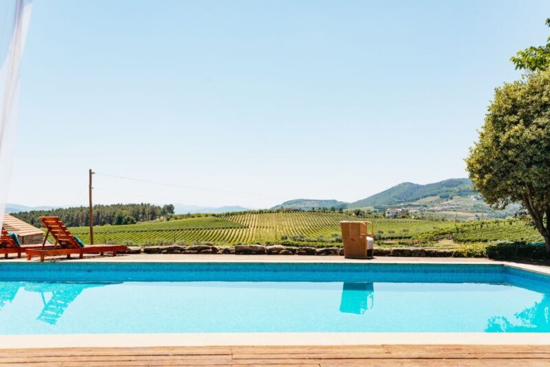 Porto: Douro Valley with Winery Lunch, Tastings & Cruise - Scenic Douro River Cruise