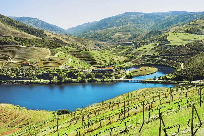 Porto: Douro Wine Tour with Lunch and River Cruise - An Authentic Day in the Douro Valley